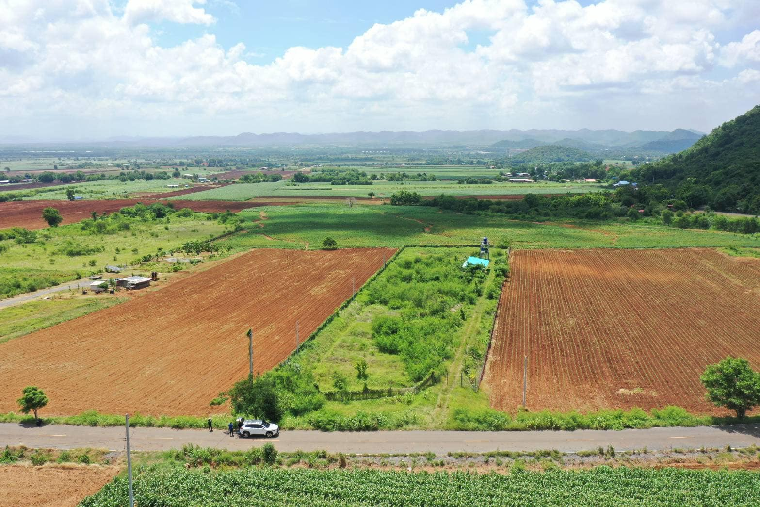 วิธีค้นหาราคาประเมินที่ดินออนไลน์ (อัปเดตปี 2025) - InnoHome